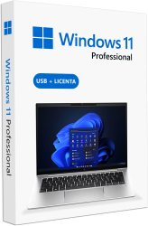 Windows 11 Pro - Licenta OEM + Stick USB de Instalare RFM-USBWIN11PRO ...
