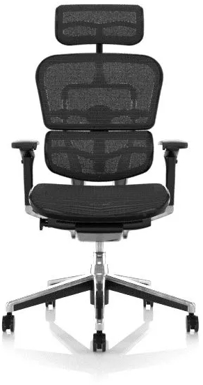 Scaun Ergohuman v2 Plus Elite mesh 3D Albastru cu tetiera 2D suport ...