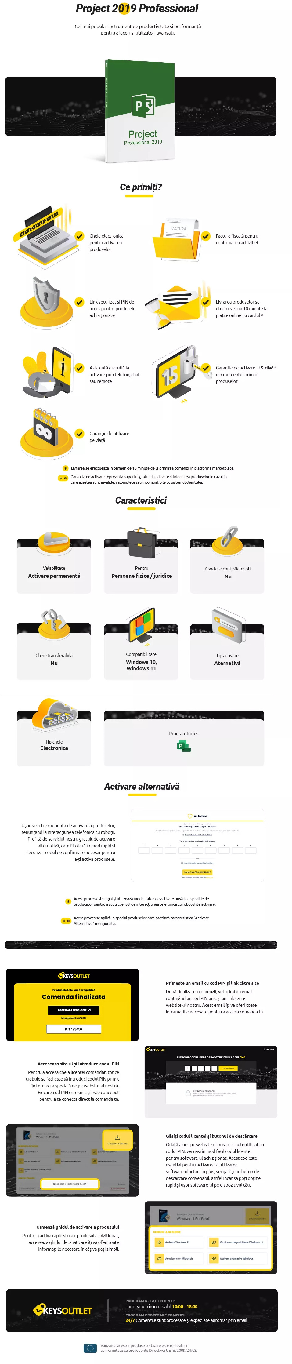 Microsoft Project 2019 Professional Licenta Permanenta