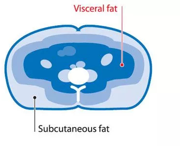 Cantar electronic Omron BF511 150 kg Diviziune 100g Monitor Body Fat ...