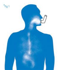 Philips Respironics Optichamber Diamond cu masca 5 ani - adulti la CEL.ro