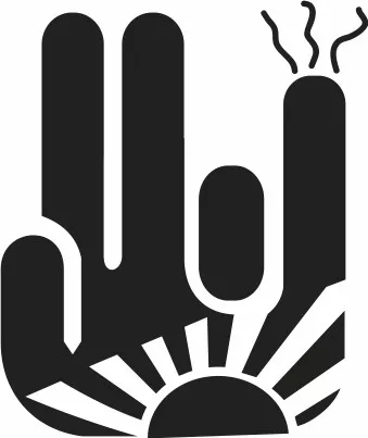 Sticker auto cu inscriptii JDM 20cm negru VOL290