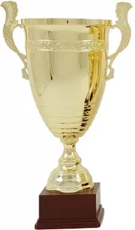 Cupa Premium 60 cm inaltime 1403 B - cel.ro