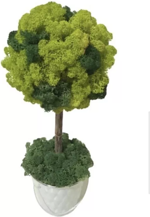 Copac decorativ din licheni | Nt-05