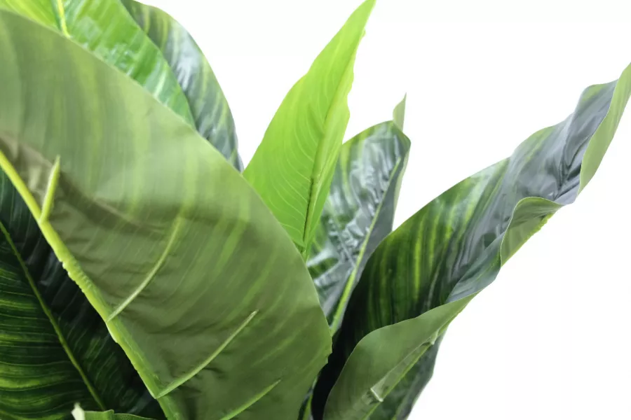 Copac artificial decor 160cm frunze mari OEM yz7i_208806093 - cel.ro