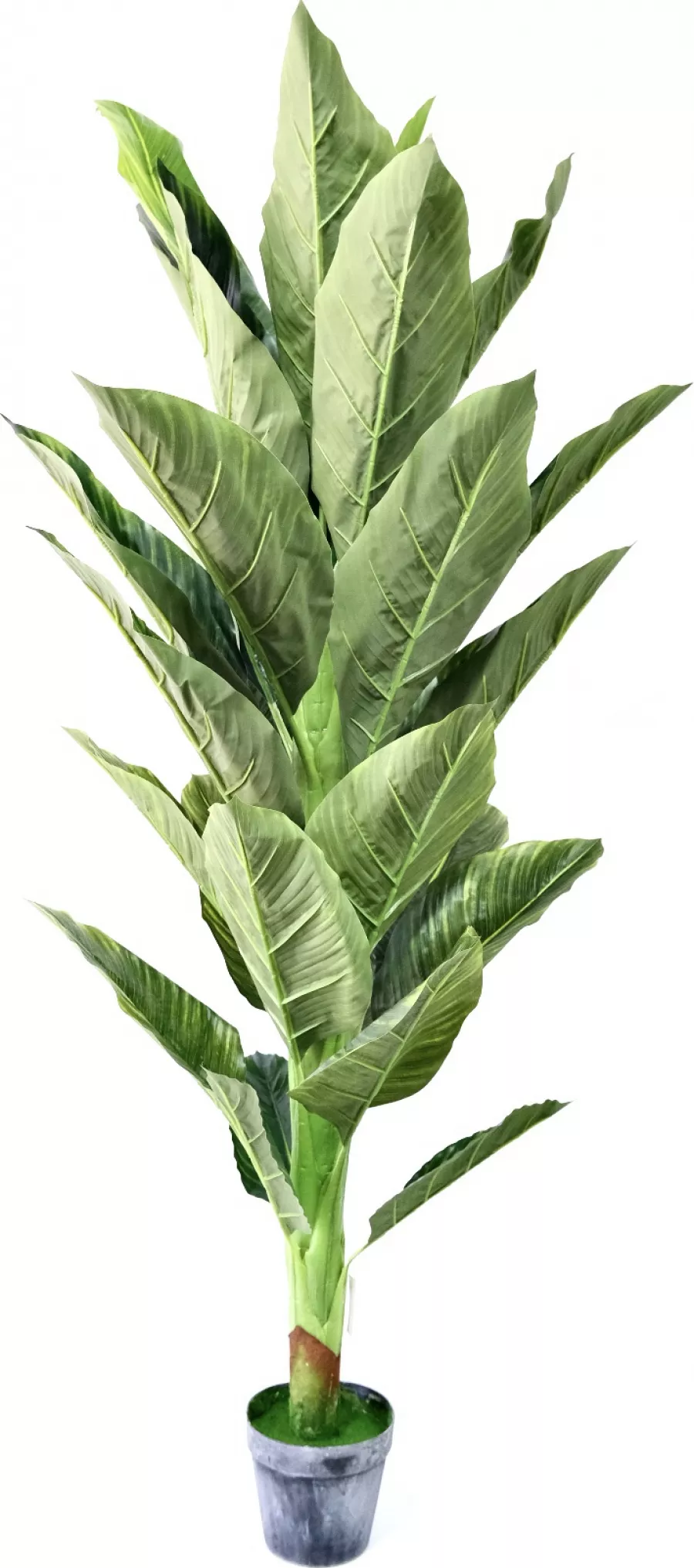 Copac artificial decor 160cm frunze mari OEM yz7i_208806093 - cel.ro