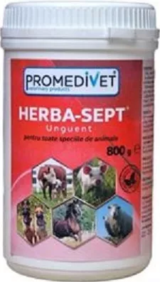 Herba Sept Simplu 800 g - cel.ro