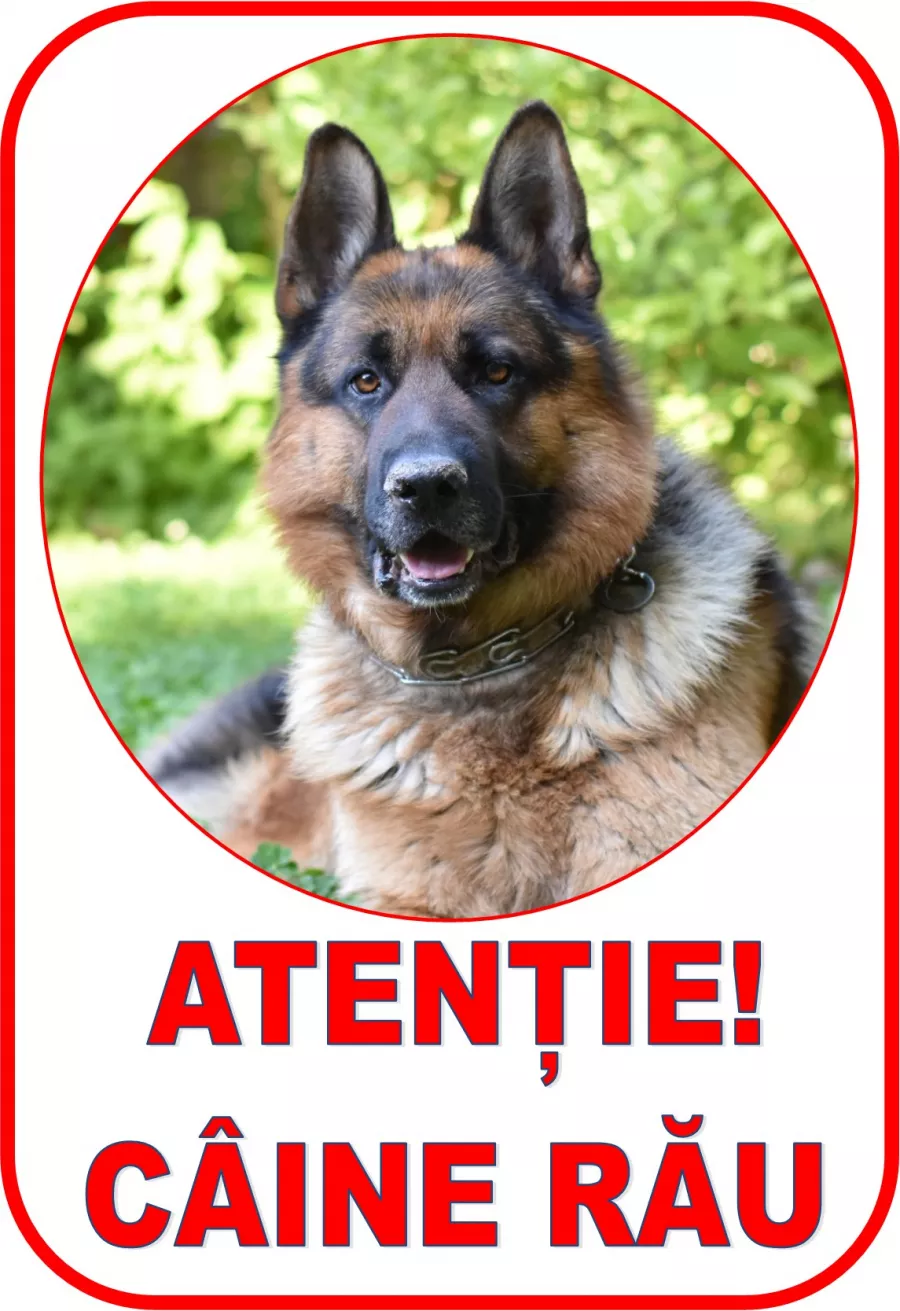 Indicator PVC A4 -Atentie caine rau 2 IG498 - cel.ro