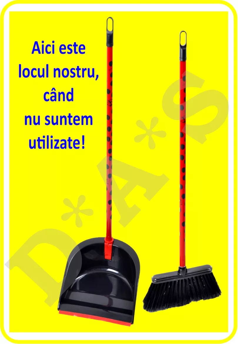Set de 2 indicatoare A4 - 5S - MATURA