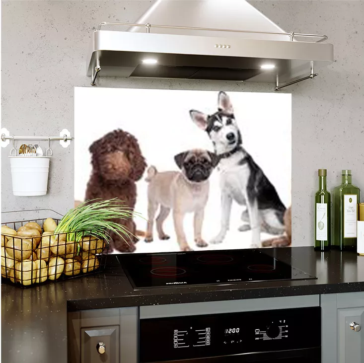 Panou bucatarie protectie plita aragaz antistropire print UV model ...