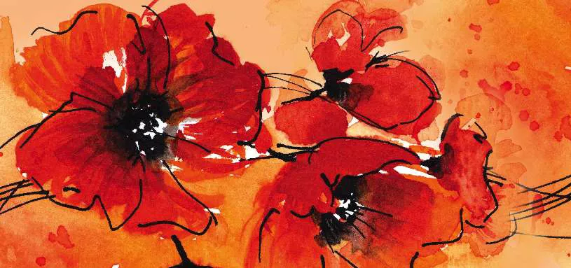 Panou bucatarie protectie plita aragaz antistropire print UV model ...