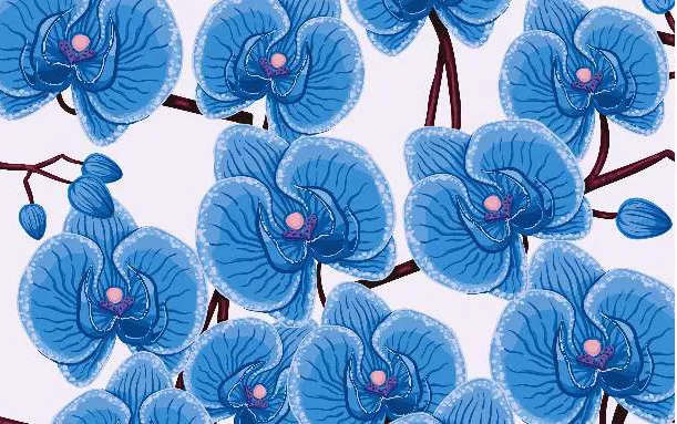 Panou bucatarie protectie plita aragaz antistropire print UV model ...