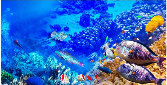 Panou bucatarie protectie plita aragaz antistropire print UV model ...