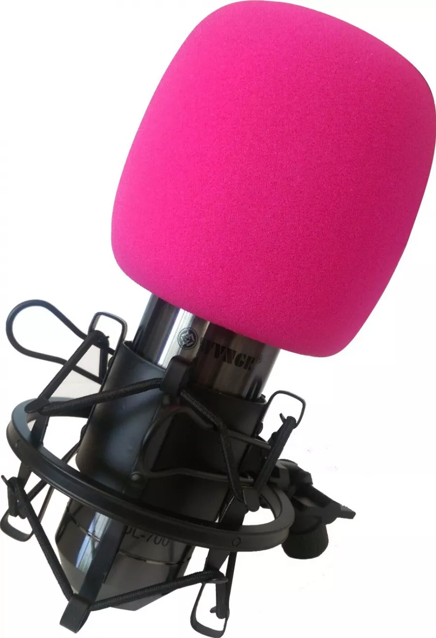 Microfon profesional pentru studio de inregistrari cu fir DL-700 DL-700 ...