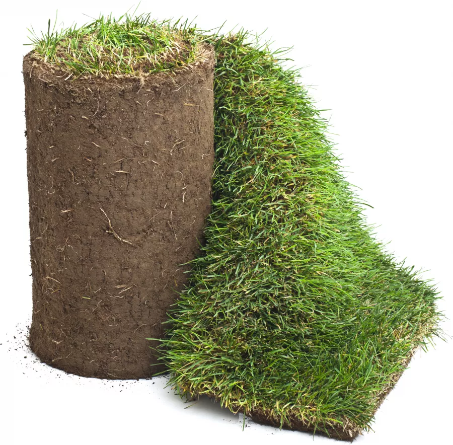 Rulou de gazon - 50mp rulou50 - cel.ro