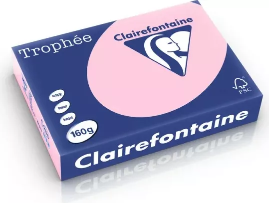 Carton color Clairefontaine Pastel Roz APHCO015ROZ - cel.ro