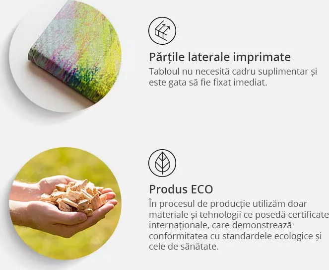 Tablou canvas - Pisica fara par - 80 x 120 cm la CEL.ro