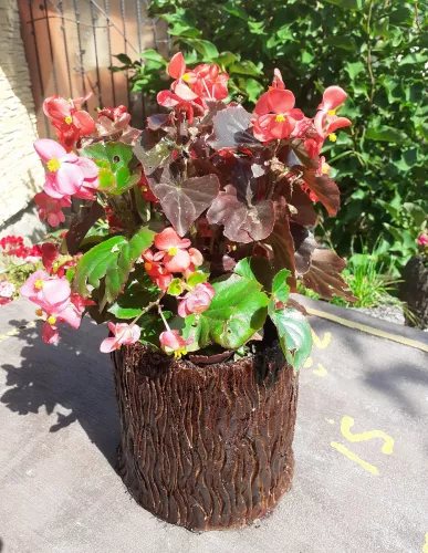 Ghiveci flori Scoarta de copac din beton - 14x17cm G_sc_mic - cel.ro