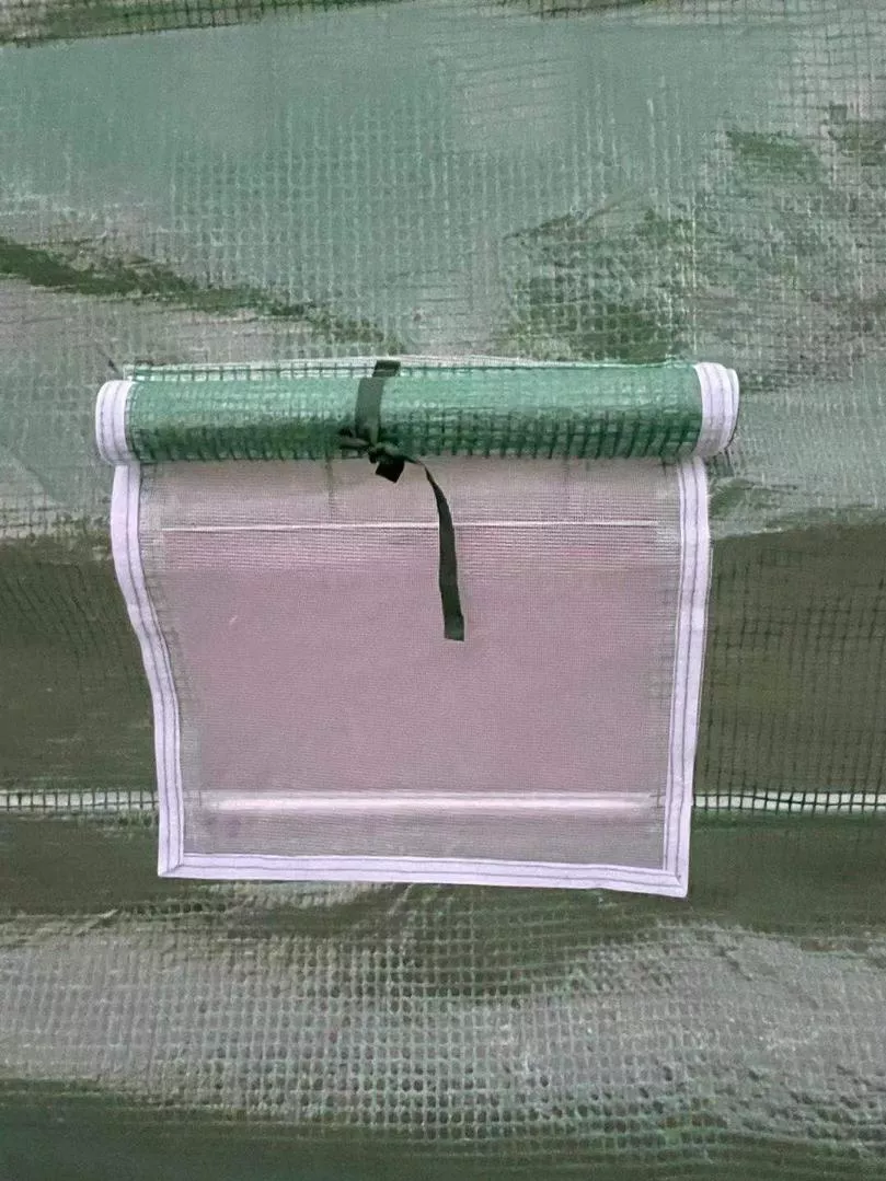 Solar gradina cu schelet metalic 6 x 3 m cu ferestre de aerisire sc63 ...