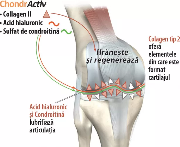 Agiflex cu Chondractiv 3x 40 capsule 2+1 5605481107306 - cel.ro