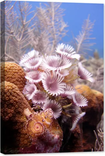 Tablou luminos in intuneric GlowforHome Colonie de viermi cu efect de ...