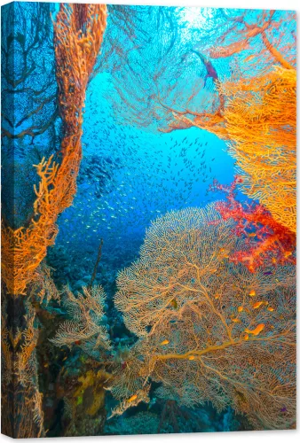 Tablou luminos in intuneric GlowforHome Coral moale de mare si ...