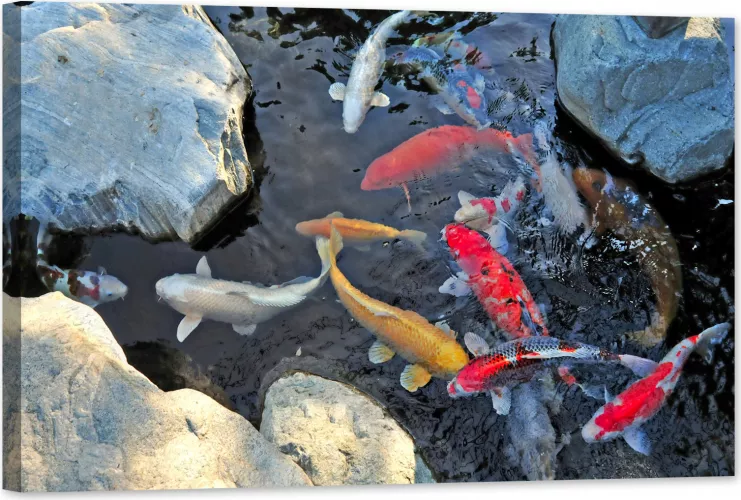 Tablou luminos in intuneric GlowforHome Iazul Koi Viata subacvatica in ...