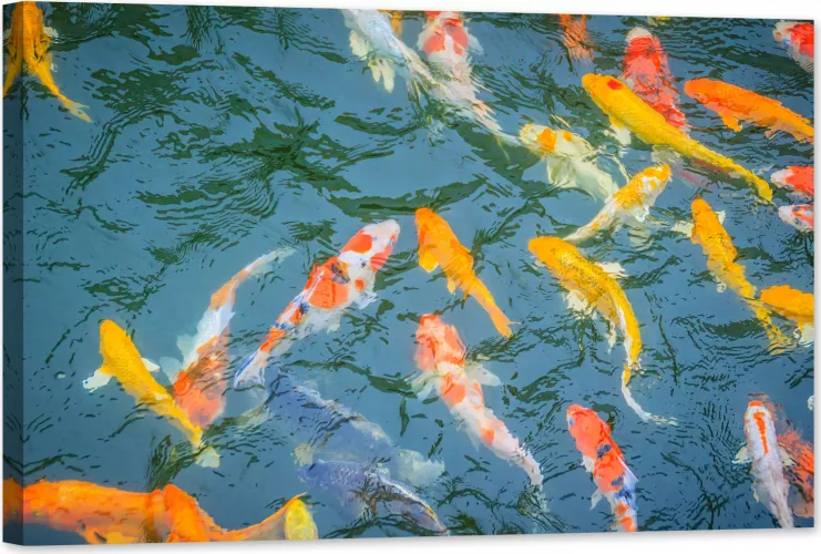 Tablou luminos in intuneric GlowforHome Inotul pestilor de crap colorat ...