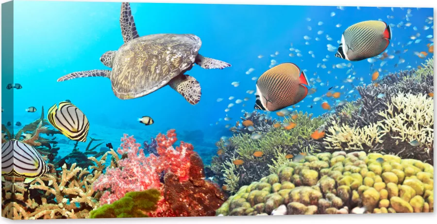 Tablou luminos in intuneric GlowforHome Marea tropicala lumea ...