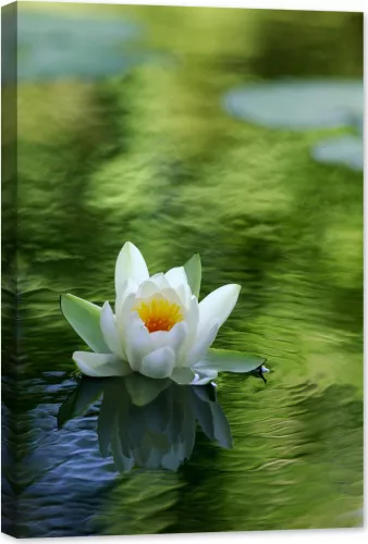 Tablou luminos in intuneric GlowforHome Nufar alb pe apa verde 90 cm x ...