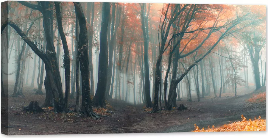 Tablou luminos in intuneric GlowforHome Padurea de toamna in ceata 120 ...
