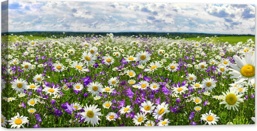 Tablou luminos in intuneric GlowforHome Panorama peisajului de ...