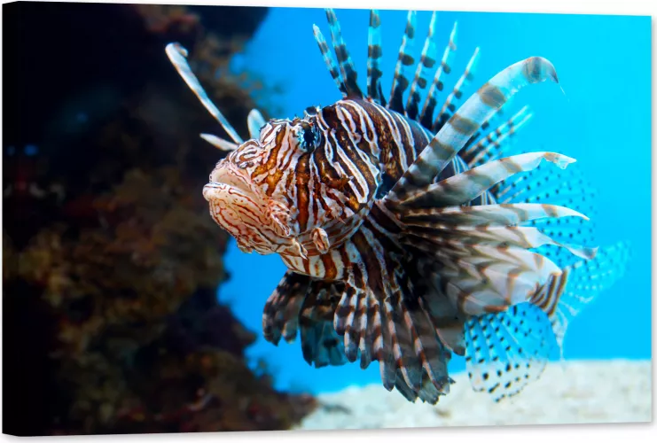 Tablou luminos in intuneric GlowforHome Peste curcan Viata subacvatica ...