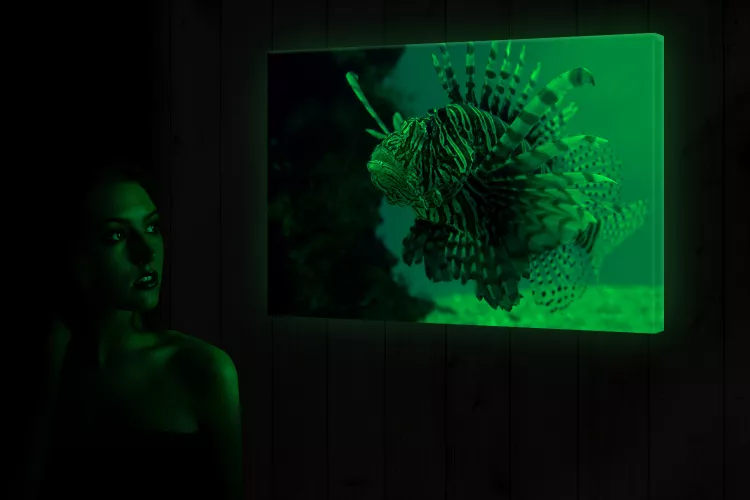 Tablou luminos in intuneric GlowforHome Peste curcan Viata subacvatica ...