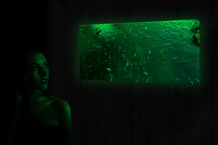 Tablou luminos in intuneric GlowforHome Peste Koi colorat in apa ...