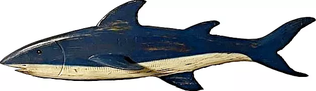 Decoratiue de perete Tropical Fish XL 2ey_119 - cel.ro