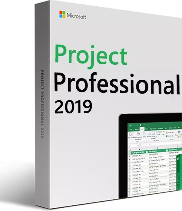 MICROSOFT PROJECT PROFESSIONAL 2019 32/64 BIT TOATE LIMBILE LICENTA ...