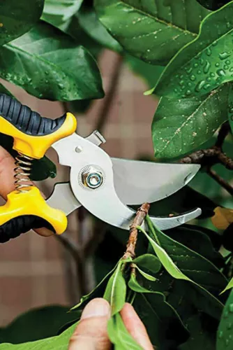 Set accesorii gradinarit 8 unelte 1111 1111.