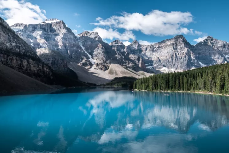 Fototapet Natura50 250 x 200 cm BBIMG1199 - cel.ro