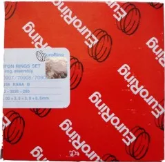 Segmenti motor Raba B 1821 - cel.ro