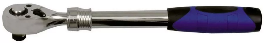 Antrenor cu clichet telescopic 1/2 PROJAHN PRO.4289 - cel.ro