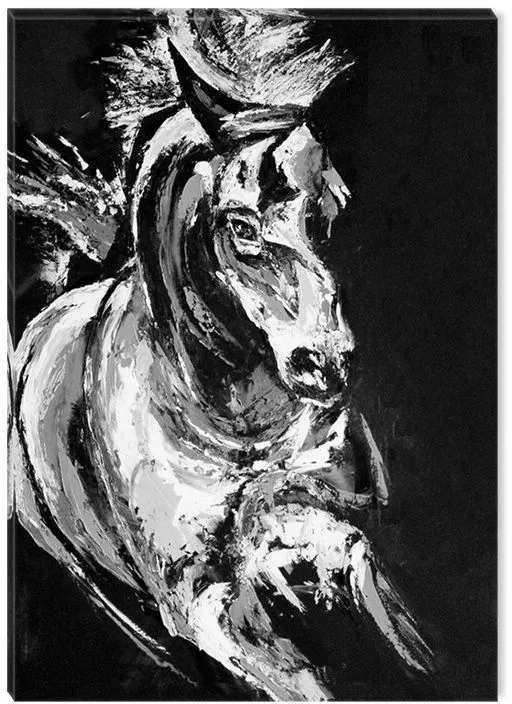 Tablou Alb-Negru Abstract Startonight Cal luminos in intuneric 80 x 120 ...