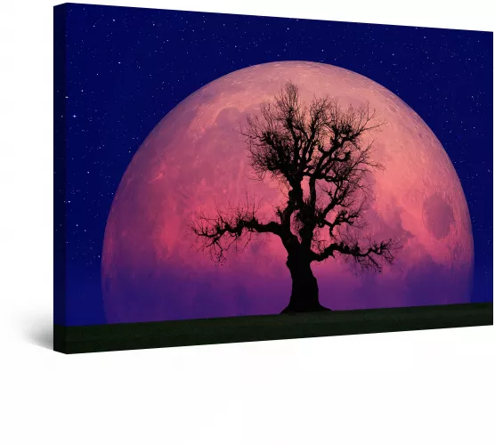 Tablou DualView Startonight Luna Violet si Copac luminos in intuneric ...