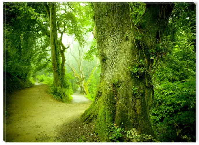 Tablou DualView Startonight Verde crud luminos in intuneric 80 x 120 cm ...