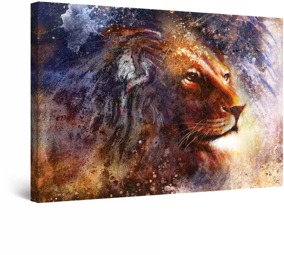 Tablou DualView Startonight Portret de leu luminos in intuneric 80 cm x ...