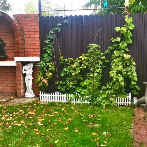 Set 25 buc Sipca Metalica Gard 900 x115mm/buc Maro Inchis Ral 8019 ...