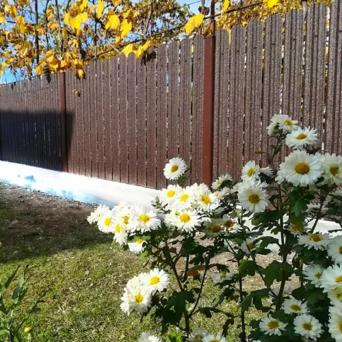 Set 25 buc. Sipca Metalica Gard 1400x115mm/buc Maro Inchis Ral 8019 ...