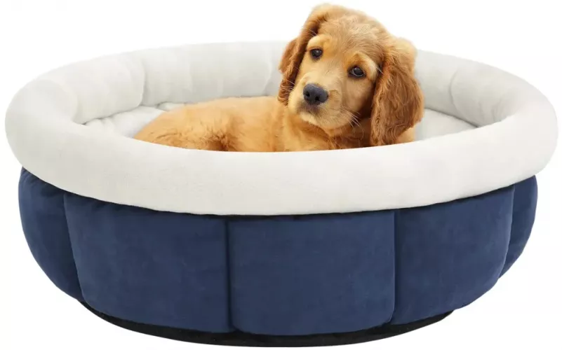 Pat pentru caini albastru 50x50x22 cm 171184 - cel.ro
