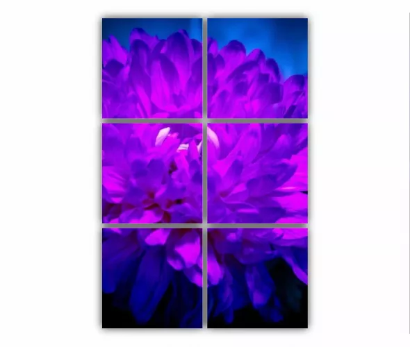 Set 6 Tablouri Multicanvas Crizantema 0294 80X120 cm C24-0294-B-6-80X120