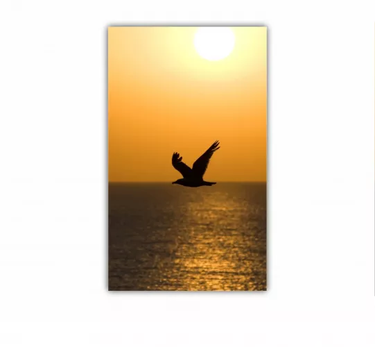 Tablou Canvas 1 piesa O silueta de pescarus 0004 30X50 cm C24-0004-B-1 ...